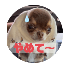 shshsh_20210609223934 - Stiker LINE | LINE STORE