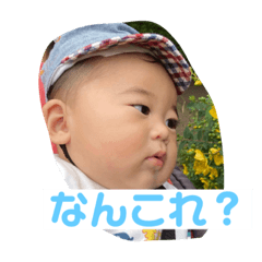 Mico family_20210611190555 - Stiker LINE | LINE STORE