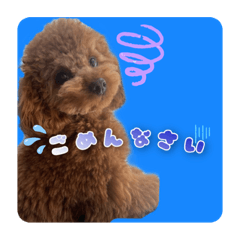 mrmrm_20210613124532 – LINE stickers | LINE STORE