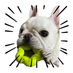 RoRo_20210613223610 - Stiker LINE | LINE STORE