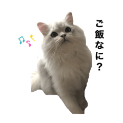 miyu_20210616131638 – LINE stickers | LINE STORE