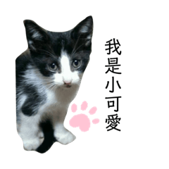 Kemmy_20210616223915 – Stickers LINE | LINE STORE