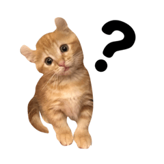 moca_20210616195841 - Stiker LINE | LINE STORE