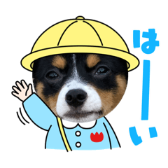 Bonita_20210619111723 – LINE stickers | LINE STORE