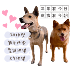 Ling_20210624151757 – LINE stickers | LINE STORE