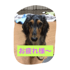 my name is qoo – LINE stickers | LINE STORE