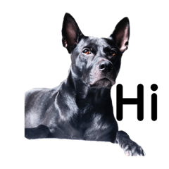 Yu_20210626211702 – LINE stickers | LINE STORE