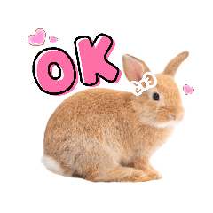Cute Rabbit by Arlee – LINE stickers | LINE STORE