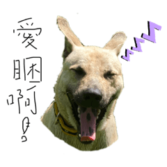 Chen CHANG JING_20210630150831 - Stiker LINE | LINE STORE