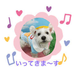 kota kota_20210702000816 – LINE stickers | LINE STORE