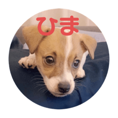 Sayren_20210702012146 – LINE stickers | LINE STORE