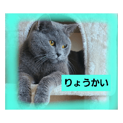 Kskaka_20210706182440 – LINE貼圖 | LINE STORE