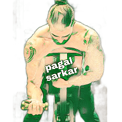 SARKAR___PAGAL____BIG____SET58689 – LINE stickers | LINE STORE