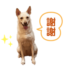 Ailey_20210707032411 - LINE スタンプ | LINE STORE