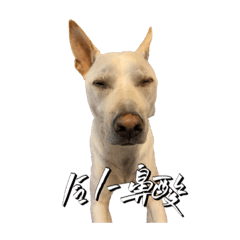 JING_20210707185831 – LINE stickers | LINE STORE