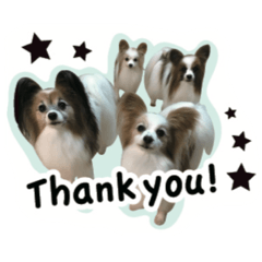 4 papillons family – LINE貼圖 | LINE STORE