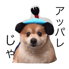 poppo's stickers. – LINE stickers | LINE STORE