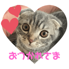 pocomaru_20210708130943 – LINE stickers | LINE STORE