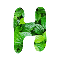 H in nature – Stickers LINE | LINE STORE