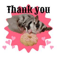 AMIN_20210709145059 - Stiker LINE | LINE STORE