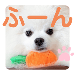 Rei_20210712231449 – LINE stickers | LINE STORE