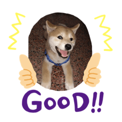 anhot_20210714203304 – LINE stickers | LINE STORE