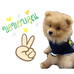 Sonic haha_20210714193713 – LINE stickers | LINE STORE