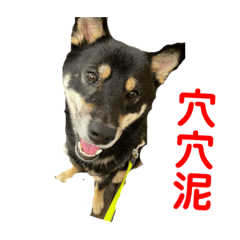 KK_20210717091602 – LINE stickers | LINE STORE