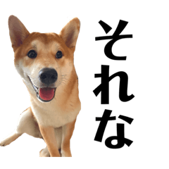 Ryo_20210716233003 – LINE stickers | LINE STORE