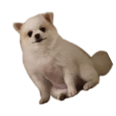 Mitchu v.2 – LINE stickers | LINE STORE