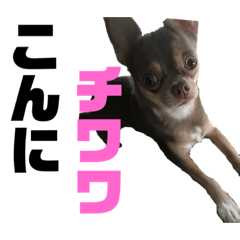 kanaya_20210725171513 – LINE stickers | LINE STORE