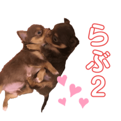 kanaya_20210725171513 – LINE stickers | LINE STORE