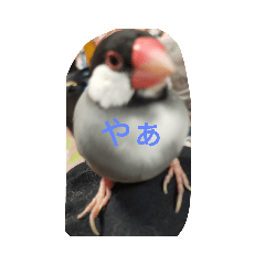 REO_20210726021627 – LINE stickers | LINE STORE