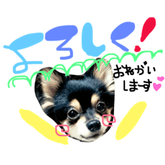 poco&tsunastanp2 – LINE貼圖 | LINE STORE