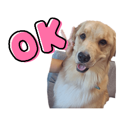 kansei_20210728115804 – LINE stickers | LINE STORE