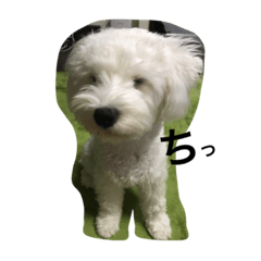 monasan - Stiker LINE | LINE STORE