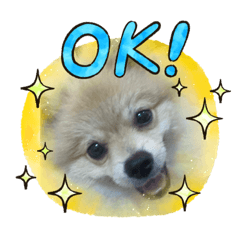 COCO K.A_20210802220647 – สติกเกอร์ LINE | LINE STORE