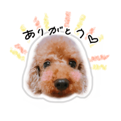 Joe & Rim - LINE スタンプ | LINE STORE