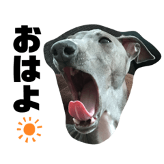 moe_20210810165004 – LINE stickers | LINE STORE