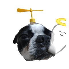 skyf – LINE stickers | LINE STORE