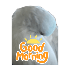 Yuki Cute Bird – LINE stickers | LINE STORE