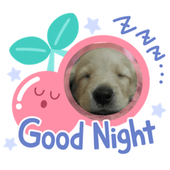 Zoe_20210825204014 – LINE stickers | LINE STORE
