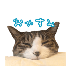 Niwa_20210828154320 – LINE stickers | LINE STORE