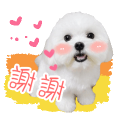 cute small chi bi – LINE stickers | LINE STORE