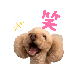 Rina_20210902220541 - Stiker LINE | LINE STORE