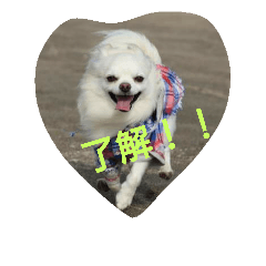 My choco chan – Stickers LINE | LINE STORE