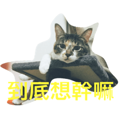 HELLO BOBO – LINE stickers | LINE STORE