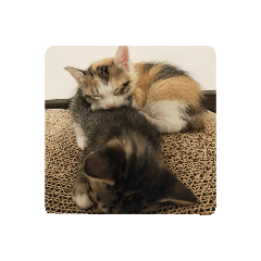 Nini Family 1 – Stickers LINE | LINE STORE