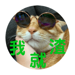Fat cat_20210914111231 – LINE stickers | LINE STORE