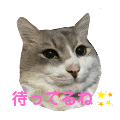 chii_20210910170159 – LINE stickers | LINE STORE